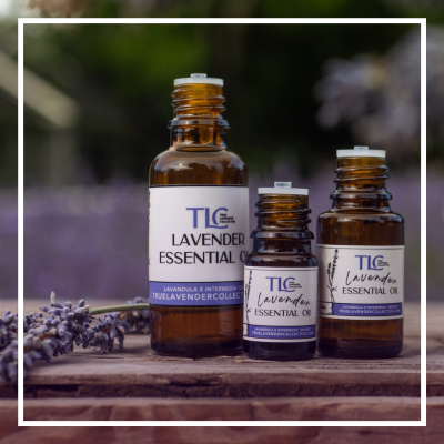 Lavender For Fragrant Home & Restful Sleep – True Lavender Collective