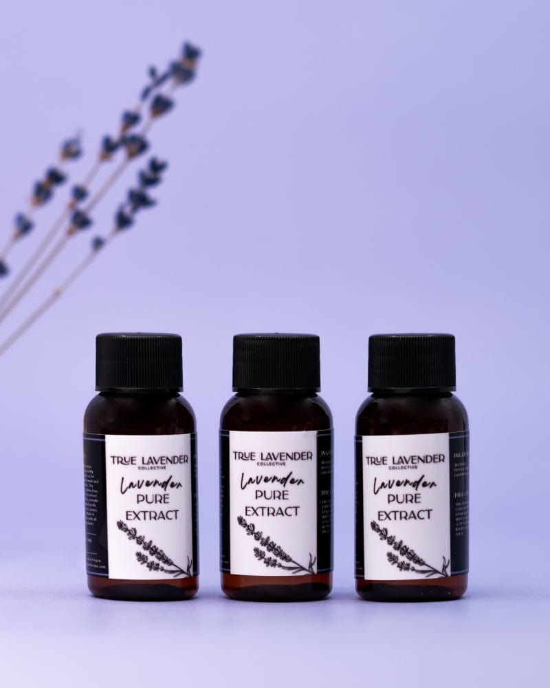 Lavender Extract – True Lavender Collective