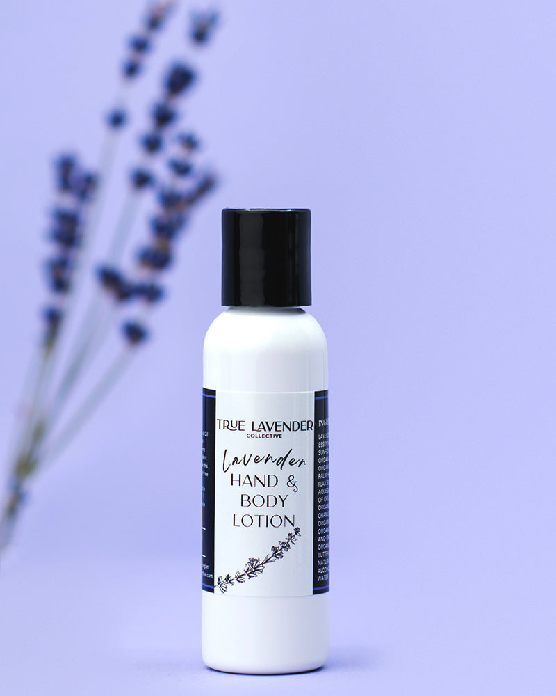Lavender Hand and Body Lotion – True Lavender Collective