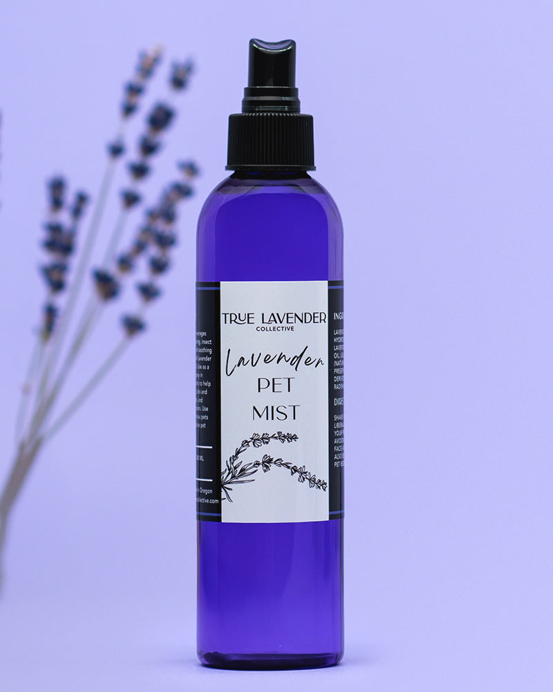 Lavender Pet Mist – True Lavender Collective